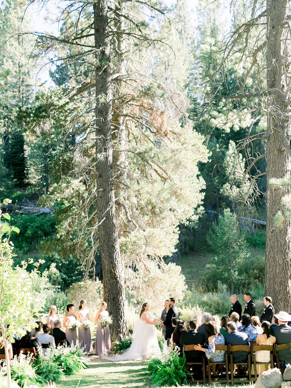 Dancing Pines Wedding In Rustic Blush Tones - Mandy Ford Photography