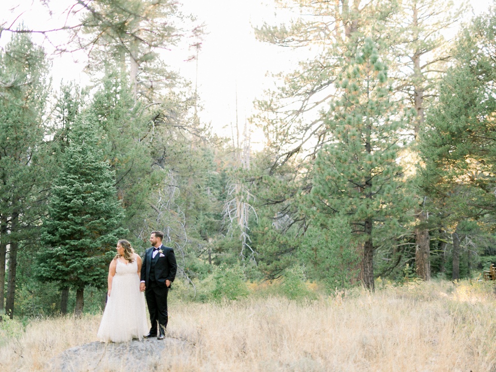 Dancing Pines Wedding In Rustic Blush Tones - Mandy Ford Photography